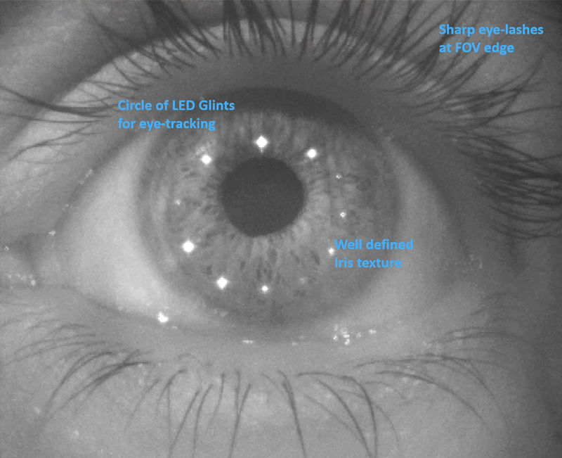 NILT metaEye™ Ultra-Compact Camera